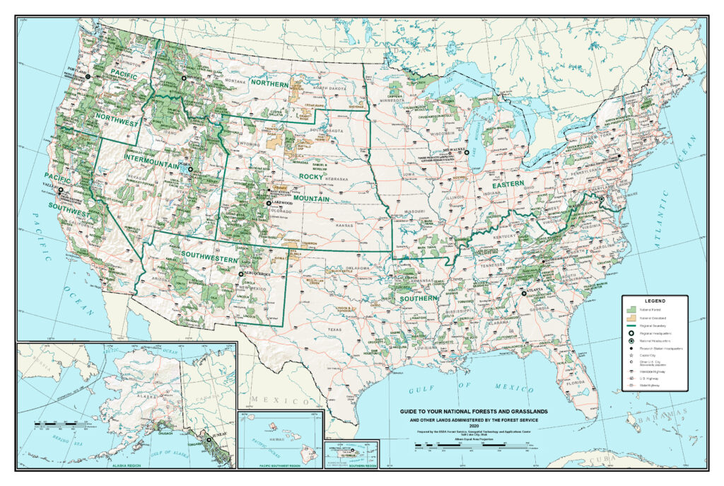 What Is the Forest Service? • Go Government